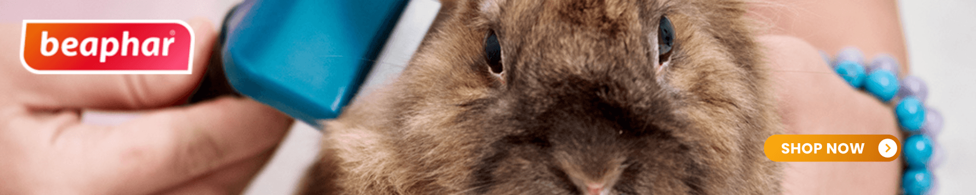 Small Animal Grooming Essentials For Happy Pets | The Pets Club