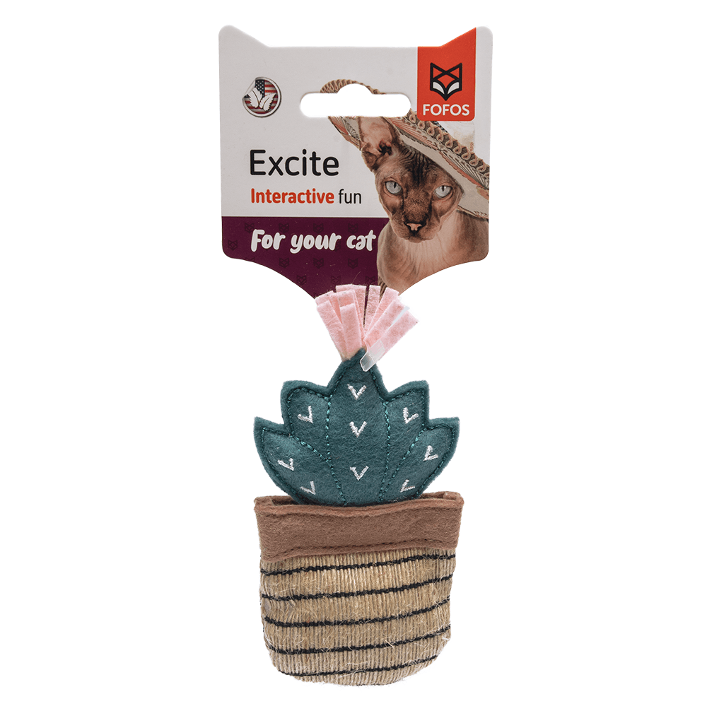 FOFOS Dark Green Cactus Cat Toy | The Pets Club